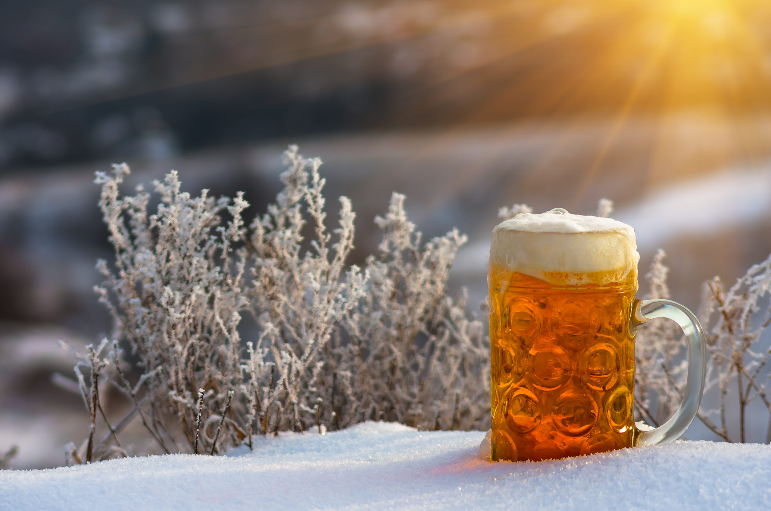 6 Ski-Themed Michigan Beers You Must Try | MiSkiReport